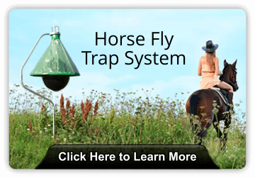 Best Horse Fly Trap
